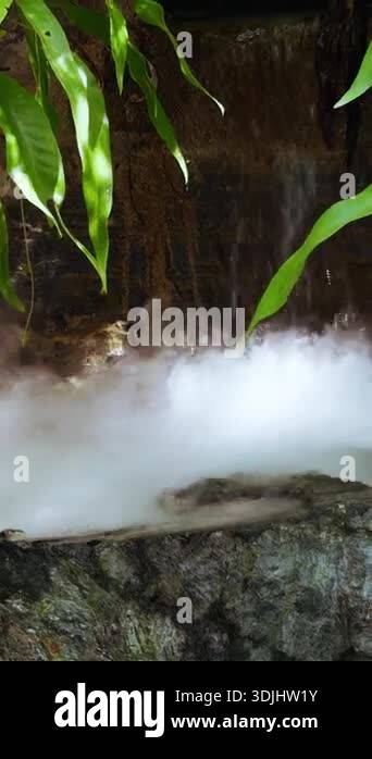 Vertical video. Dense Mist rising from Hidden Waterfall behind Green ...
