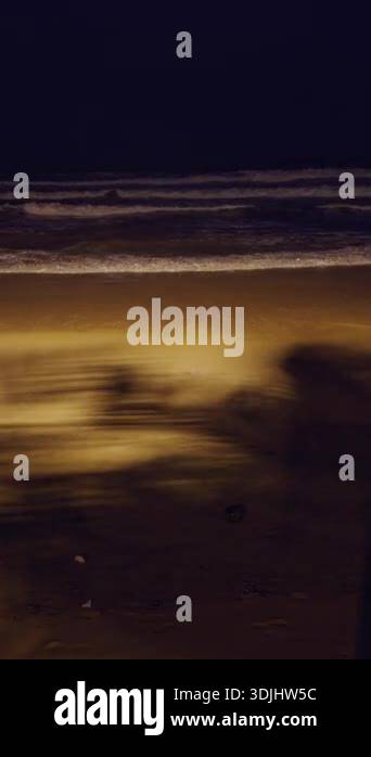 Vertical video. Palm Trunk beside Illuminated Night Shore with Waves ...