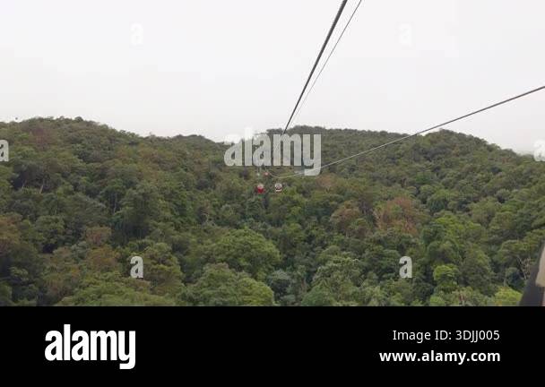 Cable Cars Suspended Over Thick Green Canopy Along Sloping Hills in a ...