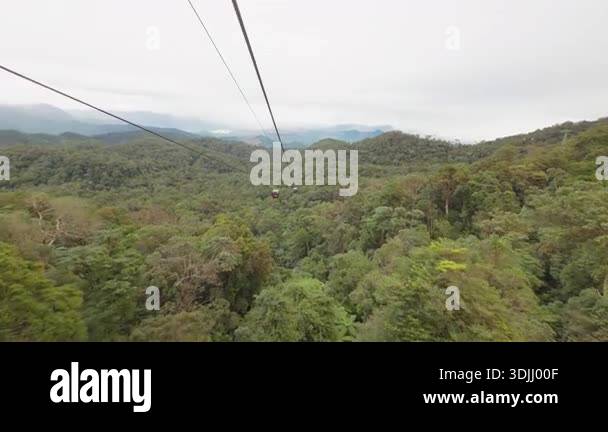 Cable Cars Traveling Above Vast Forest Toward Distant Mountain Range in ...