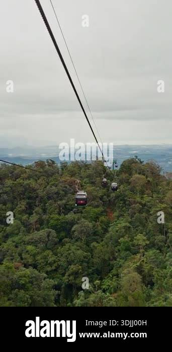 Vertical video. Cable Cars Gliding Over Dense Forest Canopy with Vast ...