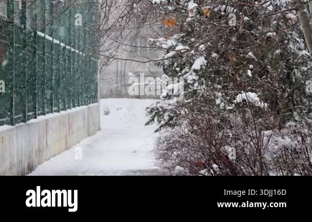 Heavy snow falling on a walking path next to a green metal fence and ...