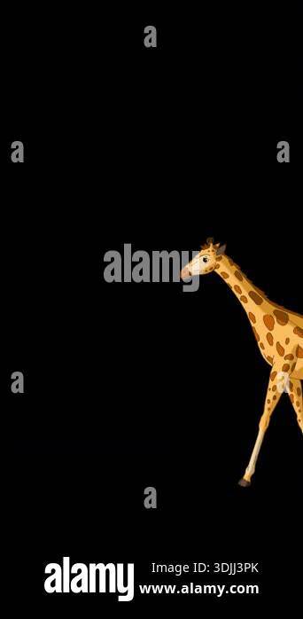 A cartoon-style Giraffe. Handmade 2D animated HD footage isolated on ...