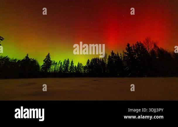 Spectacular northern lights over forest. 4k timelapse video. High ...