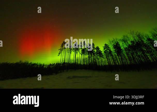 Spectacular northern lights over forest. 4k timelapse video. High ...