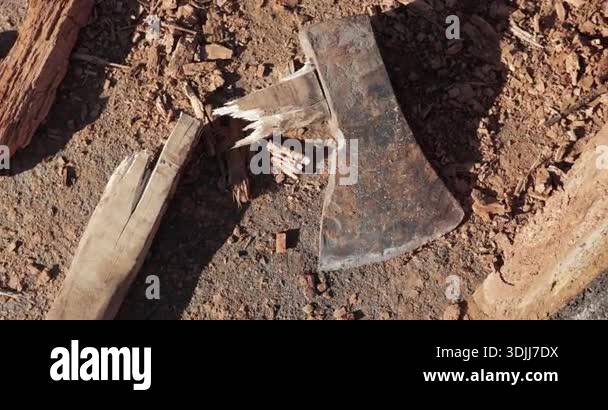 Broken ax laying in the ground after chopping wood, head separated ...
