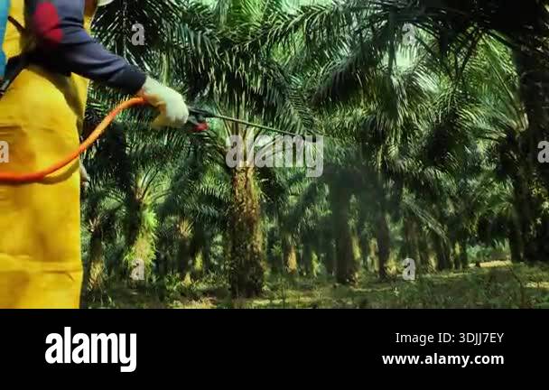 Pest Management Detail: Close-up shot of manual chemical spraying for ...