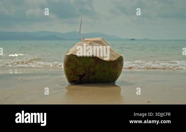 Green coconut with straw standing in shallow water on sandy beach ...