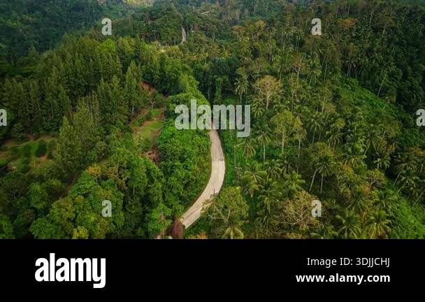 Aerial view of winding concrete road cutting through dense tropical ...