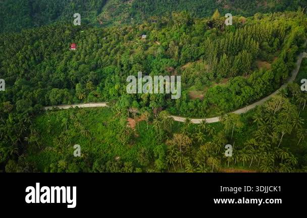 Aerial view of winding jungle road through dense tropical forest on Koh ...