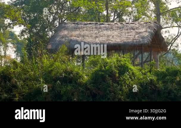 Dibrugarh, Assam, India 16 January 2026: A traditional thatched-roof ...