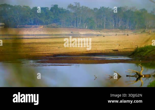 Peaceful shallow river scene with exposed sandy riverbed, calm water ...