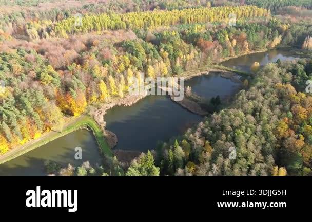 Autumn nature background with forest and lakes Stock Video Footage - Alamy