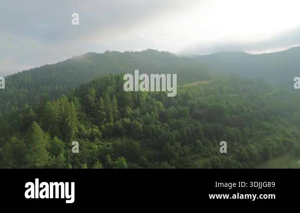 Technology and nature coexist in forest landscape Stock Video Footage ...