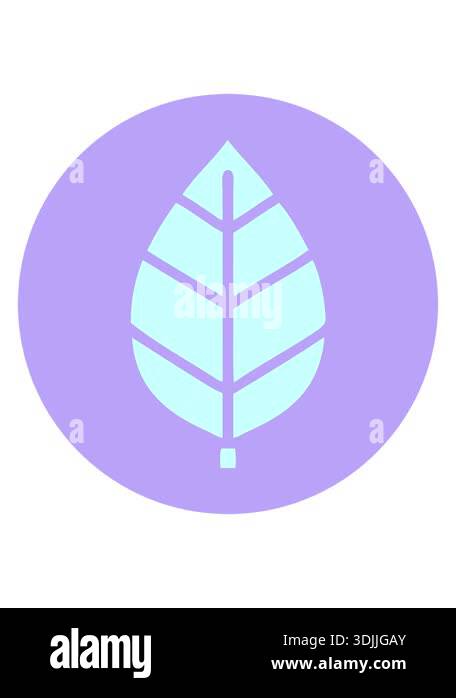 bob and pause animation of tattoo style image of leaf Stock Video ...