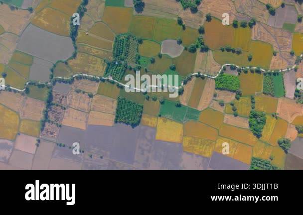 Peaceful aerial view of rice fields in Mekong Delta, Tri Ton Ta Pa, An ...