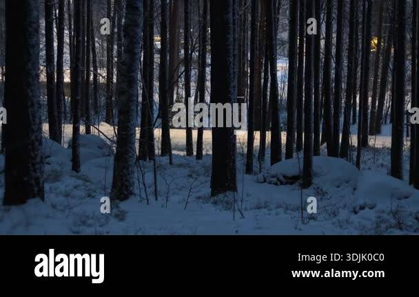 Young professional athlete works out and does cross country skiing ...