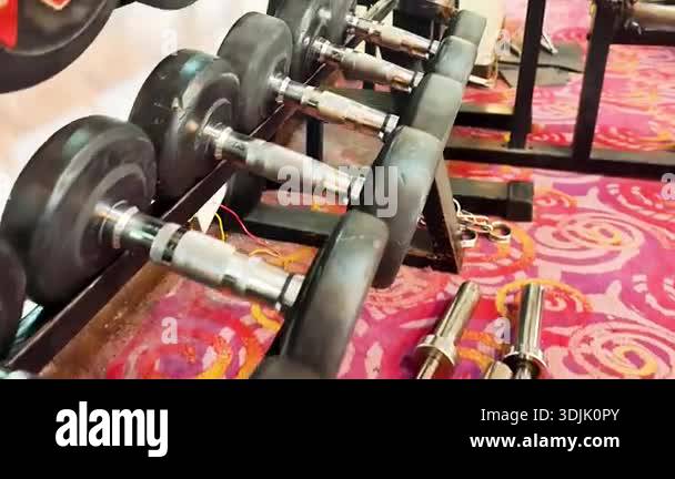 Organized Dumbbells on Rack Professional Gym Interior Clip. Fitness ...