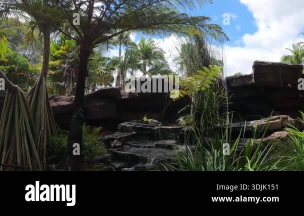 Lush greenery surrounding a cascading waterfall Stock Video Footage - Alamy