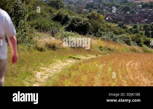 Person walking joyfully in a grassy field Stock Video Footage - Alamy