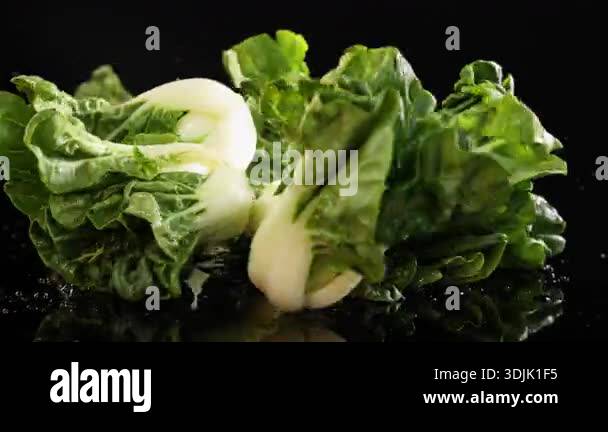 Bok choy vegetable lands on a glossy black surface, water droplets ...