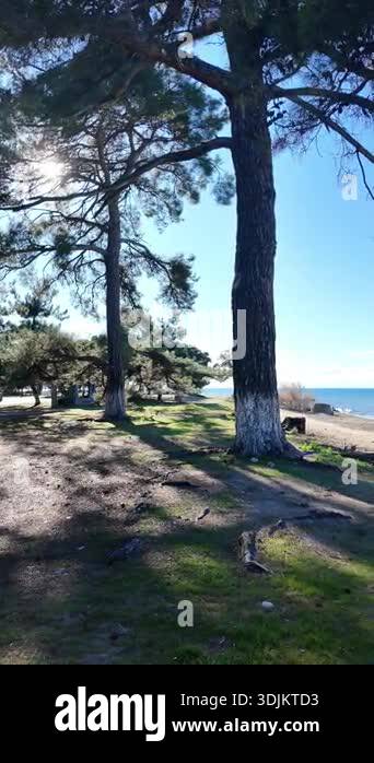 Amazing Landscape of coastline of Thassos island, East Macedonia and ...