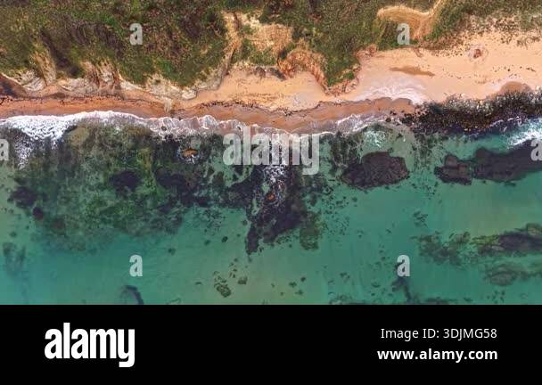 The scene highlights a beautiful shoreline with a sandy beach and clear ...