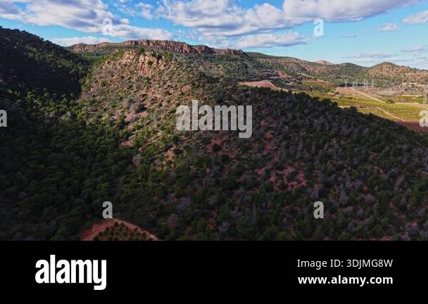 Green trees and brown earth are seen on the hills of Spain. The sun ...