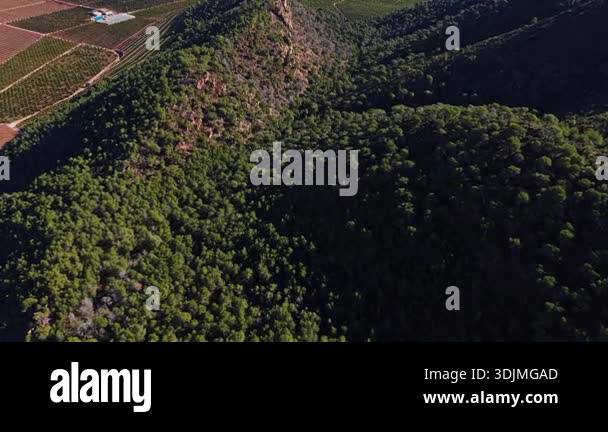 Tall trees cover the hills while small vineyards stretch across the ...