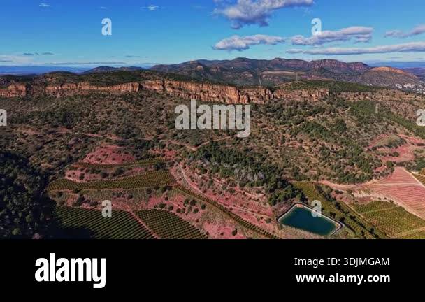 Vineyards cover the hills in Spain under a clear blue sky. A small pond ...