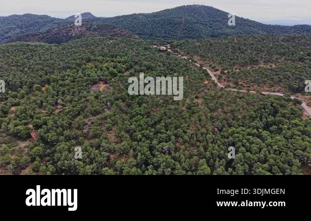 People walk through the dense forests in Spain under a clear sky. The ...