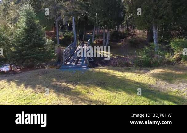 A peaceful forest landscape, with a small bridge made of old wooden ...