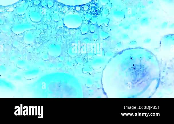 Blue Film grain bubbles with distressed grunge overlay. High quality 4k ...