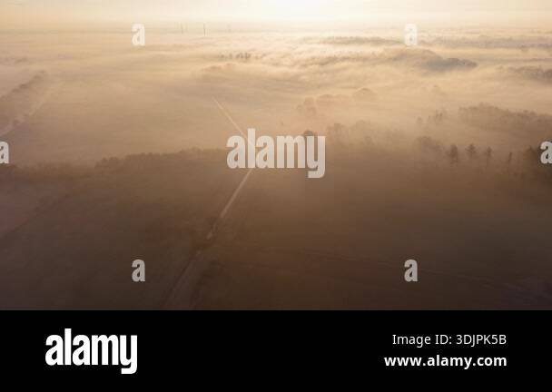 Aerial view of foggy sunrise landscape with winding road, flying birds ...