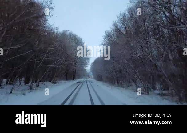 Point of view scene of driving on a forest road in snowy winter ...