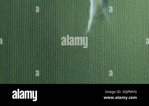 Modern agricultural technology ensures crop health and yield through ...