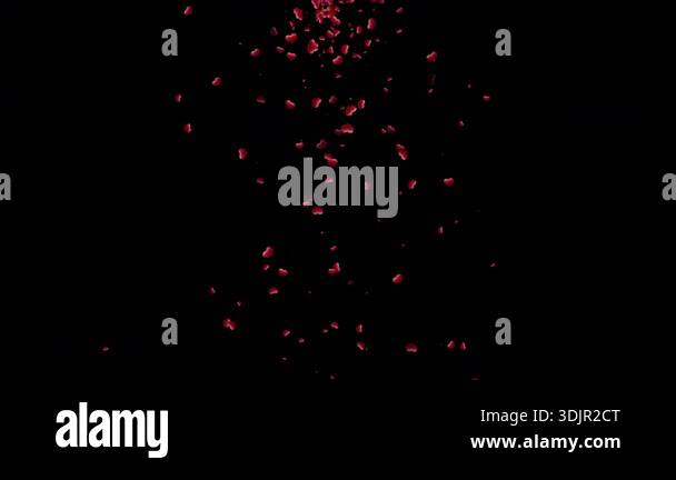 red hearts falling on transparent background Stock Video Footage - Alamy