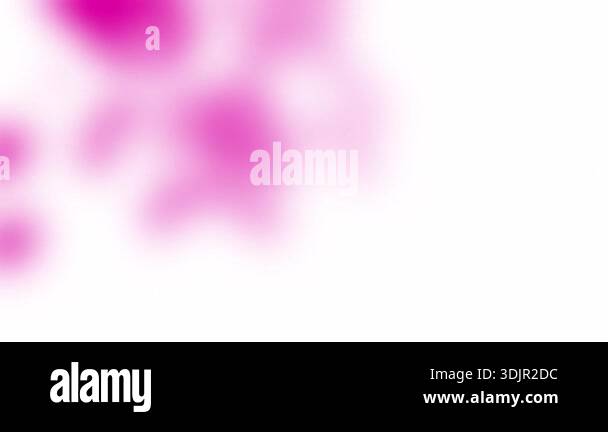 Pink blush abstract gradient motion creating gentle soft visual ...