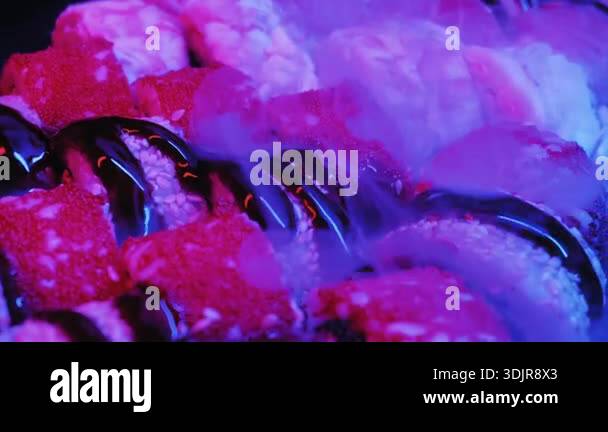 Fresh sushi rolls with red roe and eel sauce sit on a chilled serving ...