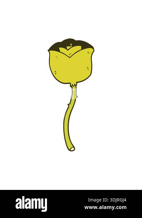 changing color animation of cartoon rose Stock Video Footage - Alamy