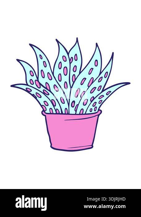 shine light effect animation of house plant Stock Video Footage - Alamy