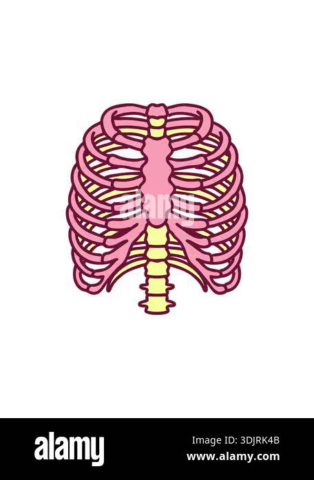 starburst effect animation of iconic tattoo style image of a rib cage ...
