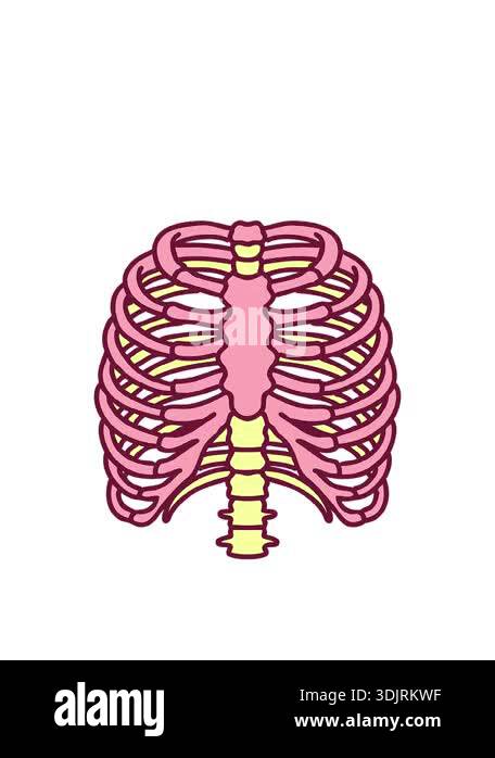 stretching up animation of iconic tattoo style image of a rib cage in ...