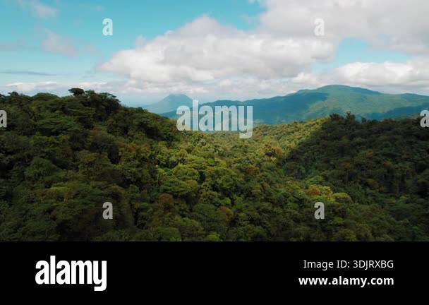 Lush cloud forest stretching across the Monteverde mountains in Costa ...