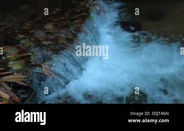 The clear river water flows carrying leaves, showing the power of ...