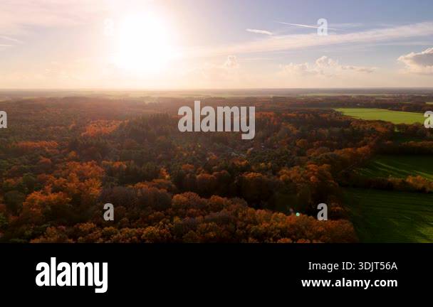 Golden Afternoon Over Rolling Autumn Fields With Bright Canopy Aerial ...