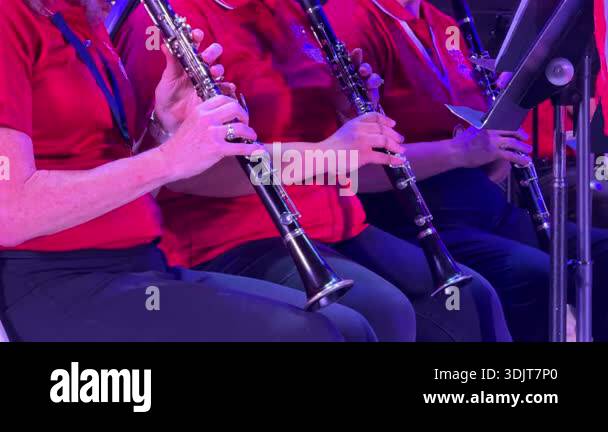 Orlando, Florida, USA - 07.04.2024: A close-up view shows musicians ...