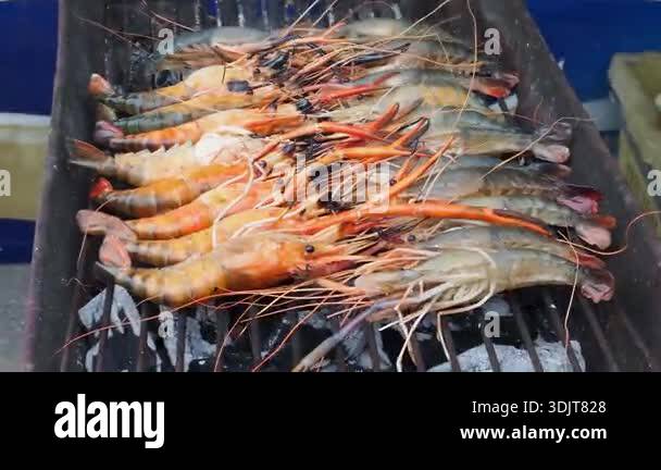 Grilled prawn seafood charcoal grill street food fresh shrimp outdoor ...