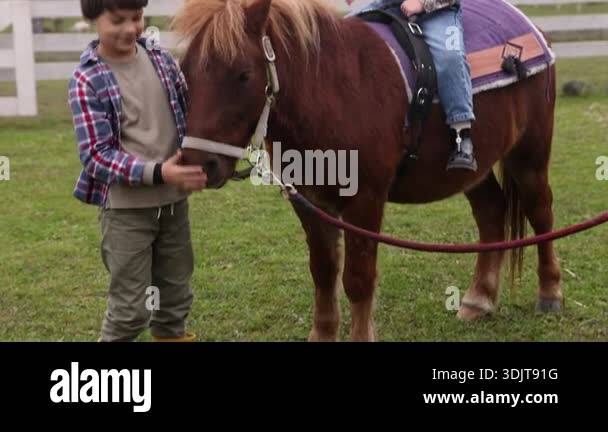 Equine assisted therapy. Cute children with beautiful pony outdoors ...