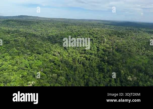 High-angle drone footage capturing dense tropical rainforest canopy in ...